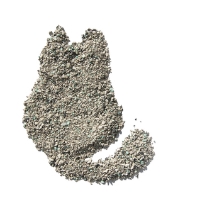 Caca de chat - A quelle fréquence un chat doit-il faire ses besoins ...