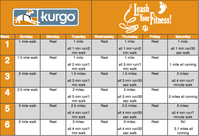 The Ultimate Guide to Running with Your Dog