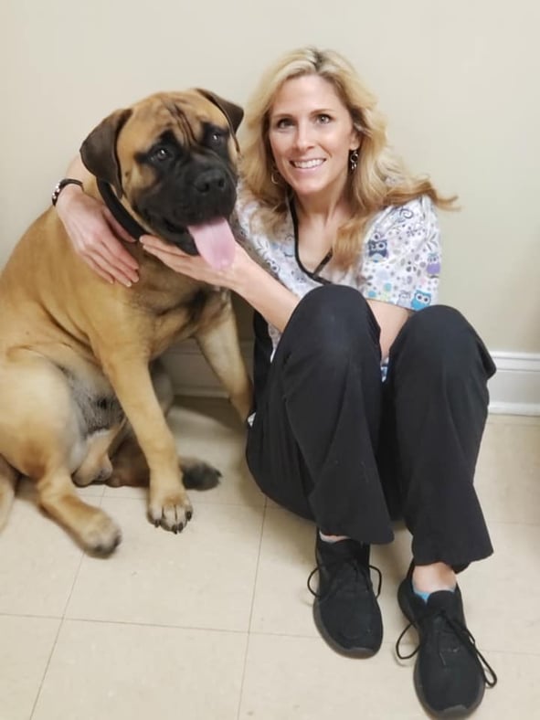 Media Spokespersons & Pet Safety Experts | Preventive Vet