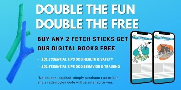 The Best Fetch Toy For Dogs
