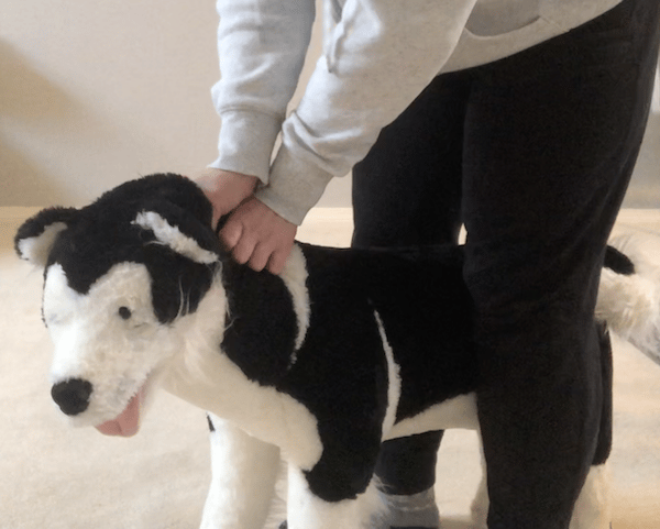How to Break Up a Dog Fight Safely | Preventive Vet