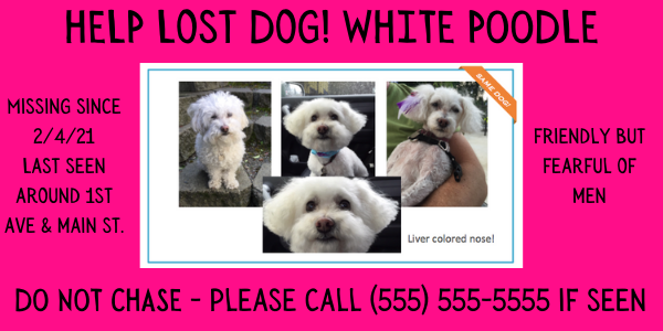 Missing Dog Recovery: Vital Resources and Effective Posters