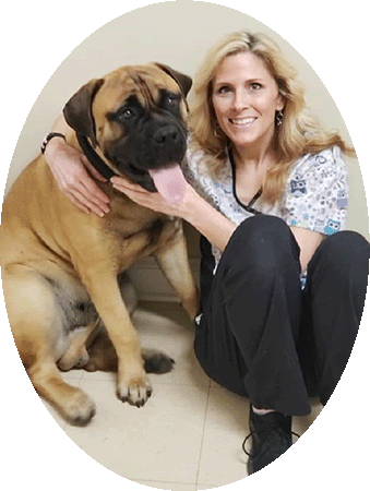About Preventive Vet | Preventive Vet