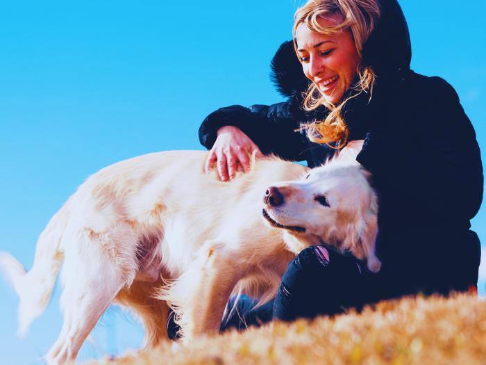 How to Ask Your Dog if They Want to be Petted | Preventive Vet