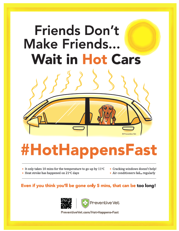 Prevent Heat Stroke - Hot Happens Fast