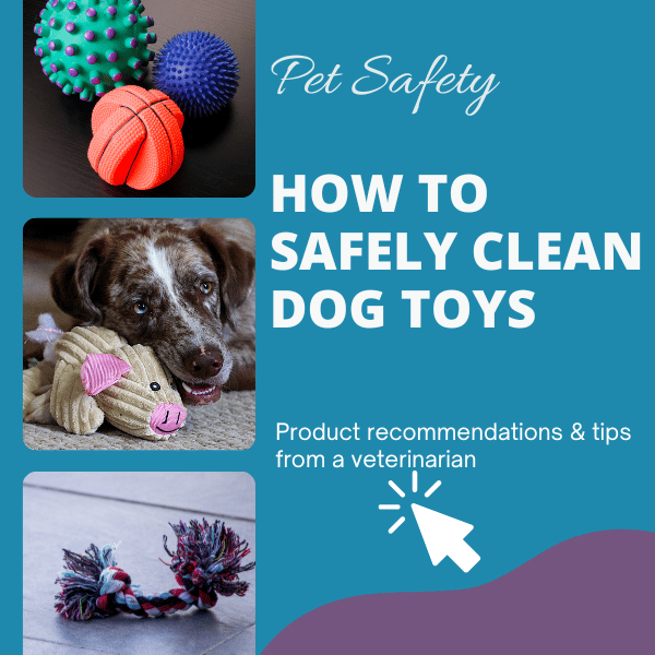 Cleaning Products That Are Safe for Pets | Preventive Vet