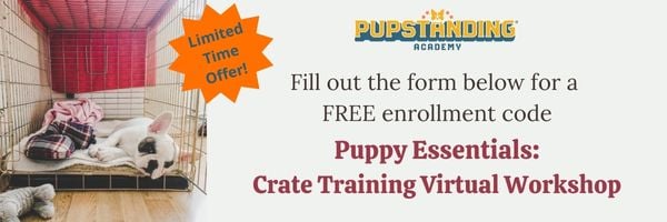 Crate Training Your Puppy or Adult Dog: Everything You Need to Know