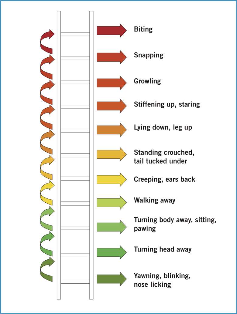 Prevent Dog Bites: Dog and Child Safety Tips | Preventive Vet