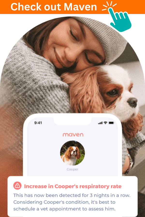 Maven Pet Health App and Tracker | Preventive Vet