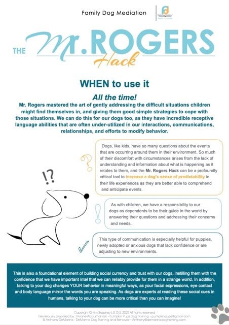 Expert Tips on How to Introduce Dogs | Preventive Vet