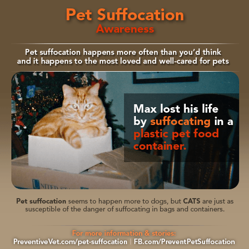Pet Suffocation | The Dangers of Snack Bags for Dogs & Cats