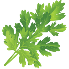 Herbs & Spices for Dogs | Preventive Vet