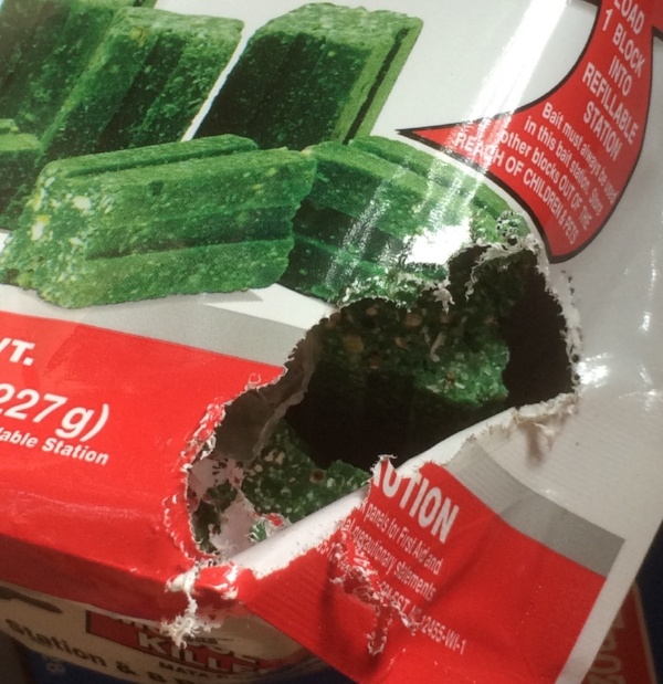 What to Do If Your Pet Has Eaten Rat Poison | Preventive Vet