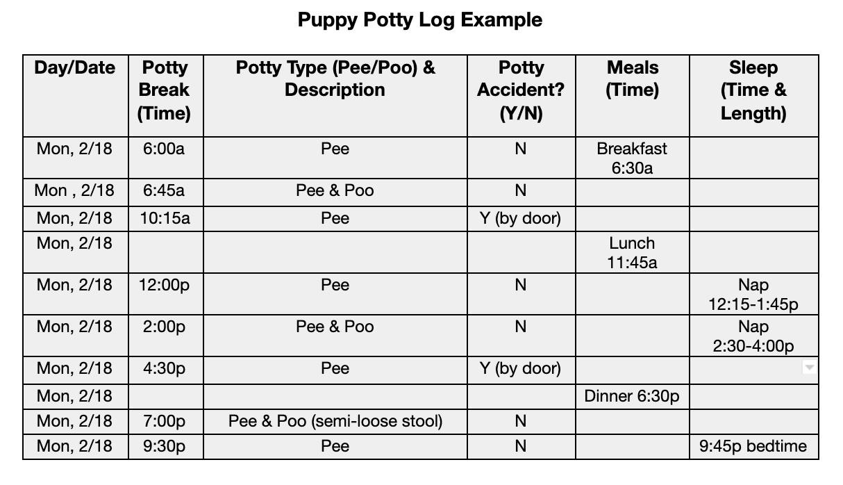 Puppy Potty Log Download | Preventive Vet