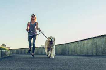The Ultimate Guide to Running with Your Dog