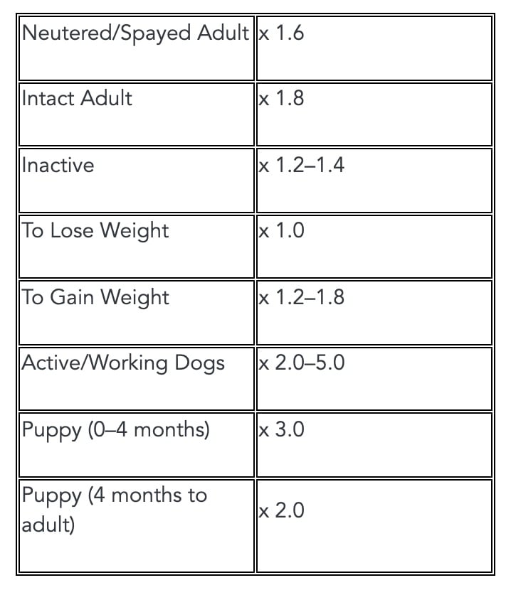 How Many Treats Can You Give a Dog During Training