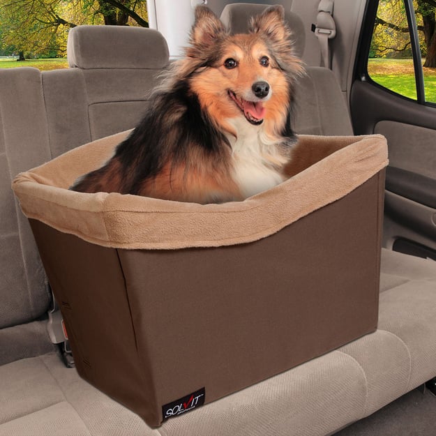 Safely Buckle up Your Dog in the Car | Preventive Vet