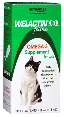 Treatment & Supplements for Cat Arthritis | Preventive Vet