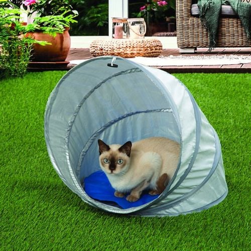 How to Keep Your Cat Cool and Avoid Heatstroke | Preventive Vet