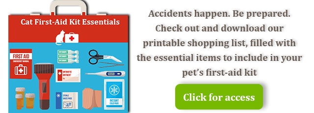 When to Take Your Cat to the Emergency Vet | Preventive Vet