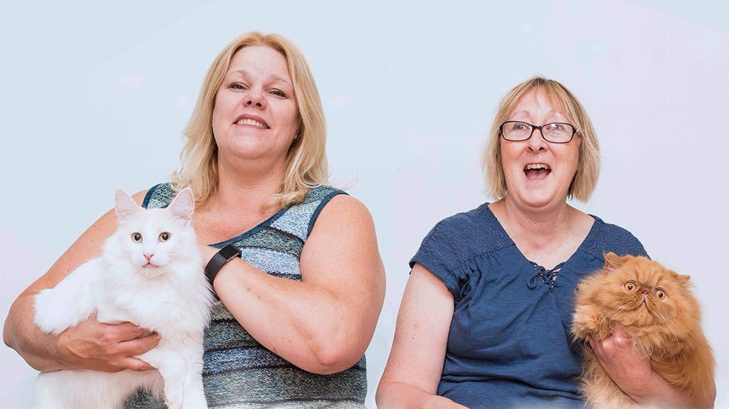 Stream & Chill: Top TV Shows & Movies for Animal Lovers