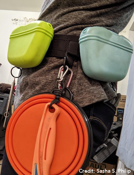 Dog Training Supplies: A Dog Trainer's Kit | Preventive Vet