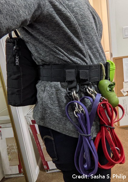 Dog Training Supplies: A Dog Trainer's Kit | Preventive Vet