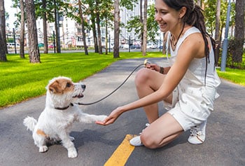 How to Greet a Dog the Right Way