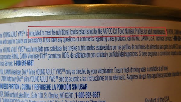 7 Things You Can Do to Help Your Dog Live Longer | Preventive Vet