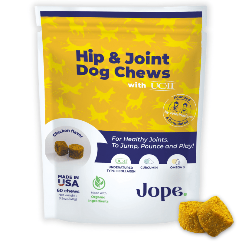 Supplements and Treatment for Canine Arthritis & Mobility Issues