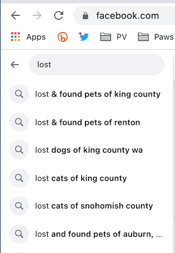 Lost Cat Locator: Proven Strategies to Find Your Missing Feline