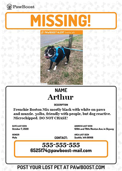 Missing Dog Recovery: Vital Resources and Effective Posters