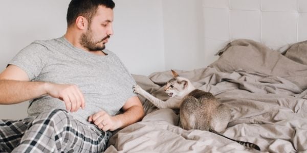 What to Do if You Are Scratched by a Cat | Preventive Vet