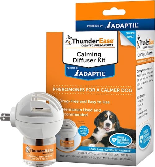 Medication for Dogs Afraid of Fireworks & Thunder | Preventive Vet