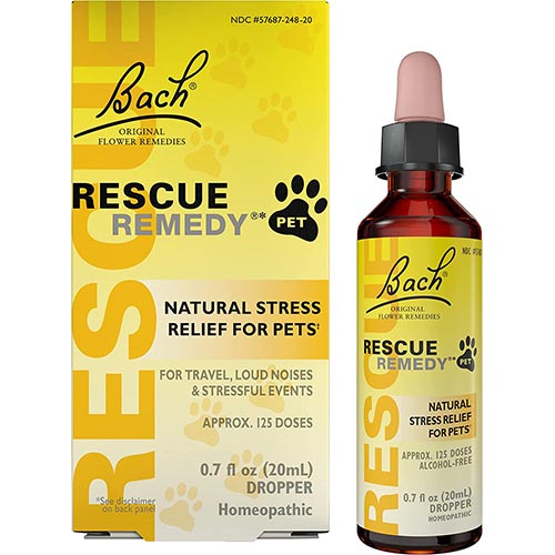 Medication for Dogs Afraid of Fireworks & Thunder | Preventive Vet