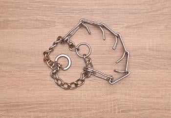 Dog Training Aversives: What Are They and Why Should You Avoid Them?