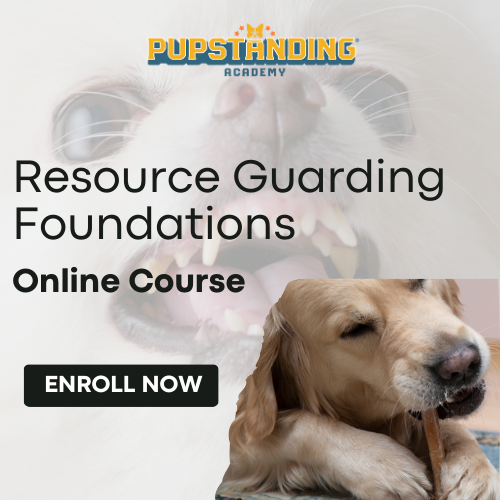 Resource Guarding in Dogs: What to Do and NOT Do | Preventive Vet