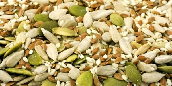 Safe and Unsafe Nuts and Seeds For Dogs & Cats | Preventive Vet