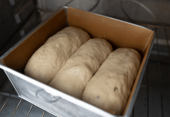 Dough & Dogs: Why It’s Bad and What You Can Do | Preventive Vet
