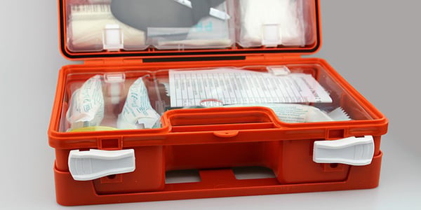 Essential Pet Emergency Kit Items You Didn't Know You Needed