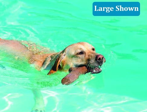 The Best Fetch Toy For Dogs | Preventive Vet