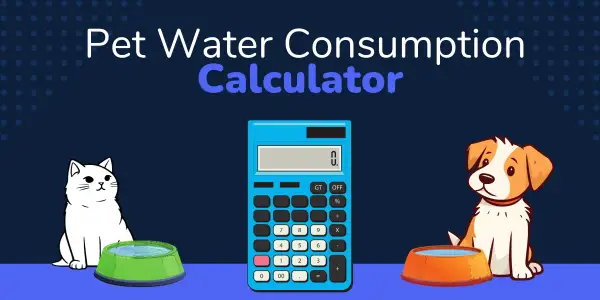 How to Calculate How Much Water Your Pet Needs | Preventive Vet