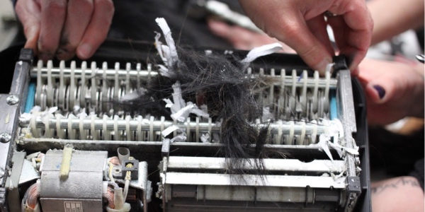 Puppy Versus Paper Shredder: The Tale of Henri's Tail